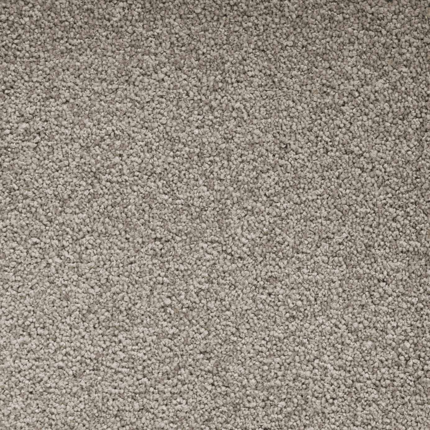 Over Interfloor | Tapijt Vinyl Project